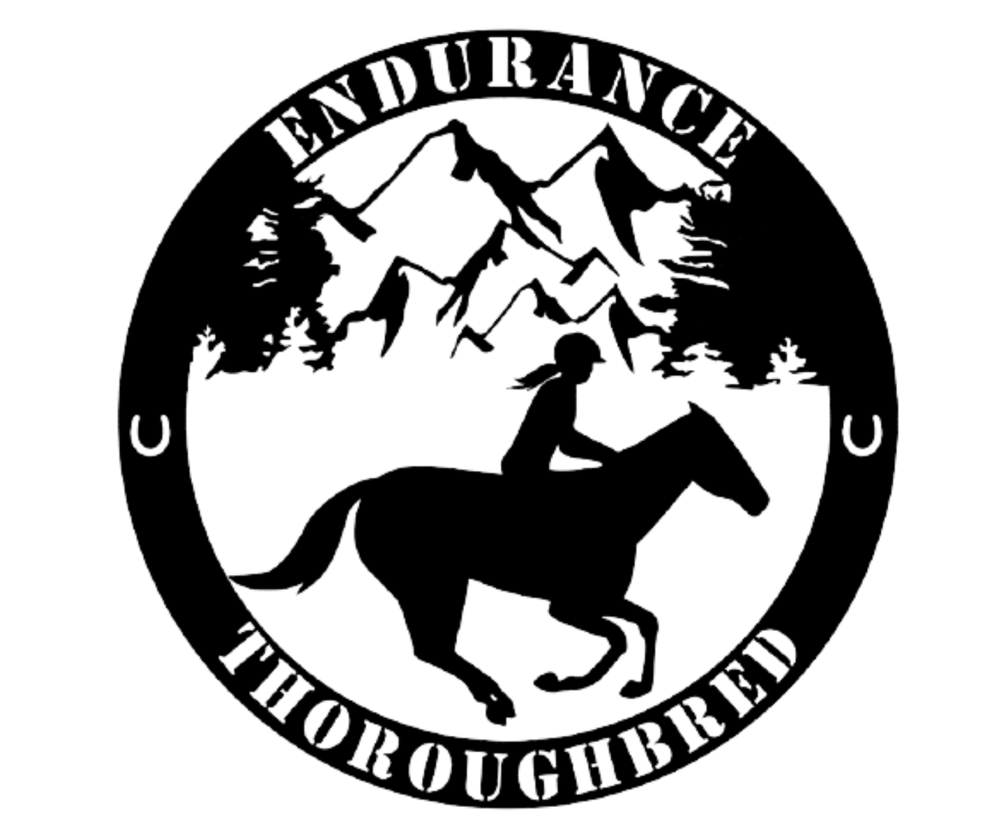 6X6 Thoroughbred Endurance Decal – The Harley Horse